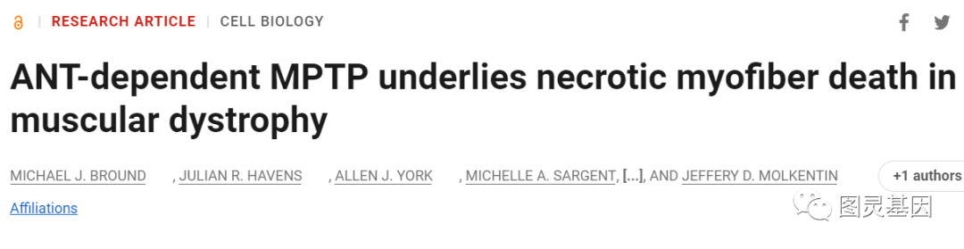 Sci Adv | 线粒体膜通透性转换孔（MPTP）在细胞死亡中的作用 - 知乎