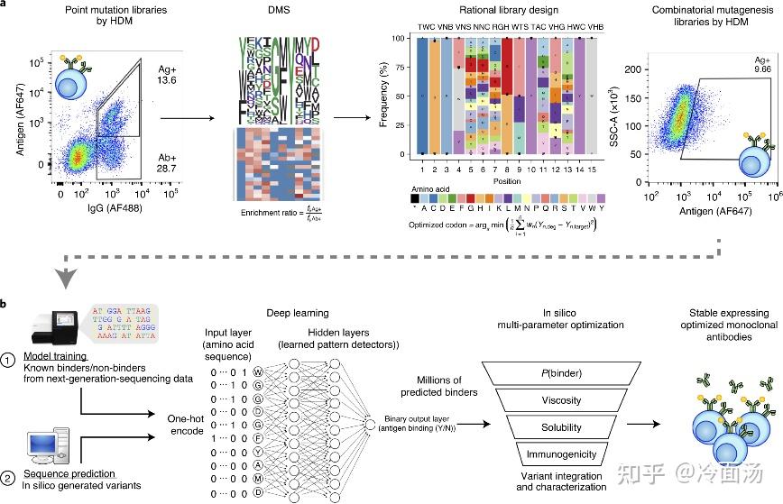 Optimization of therapeutic antibodies by predicting antigen ...