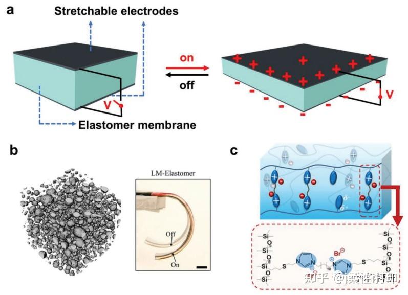 柔性基底 PDMS 最新的那些事儿 - 知乎
