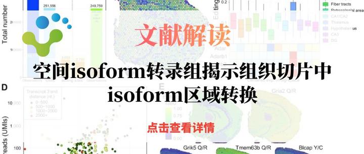文献解读｜空间isoform转录组揭示组织切片中isoform区域转换 - 知乎