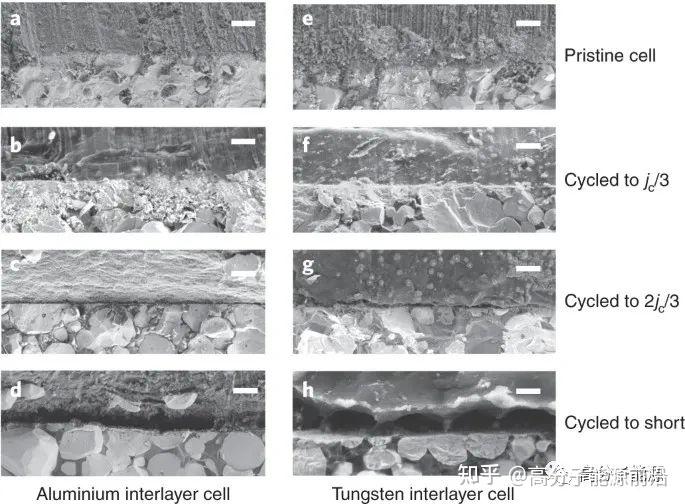 最新《nature materials》固态电解质中空隙形成与锂枝晶生长之间相关性 - 知乎