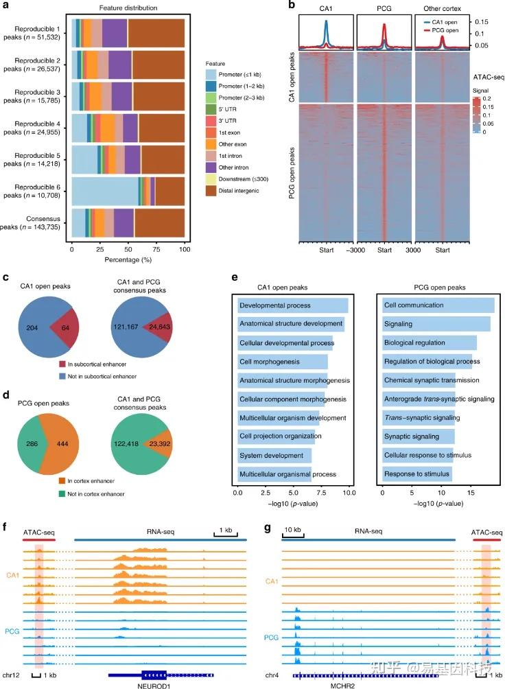 DNA与蛋白质互作及染色质开放性研究方案（ChIP-seq、CUT&Tag、ATAC-seq） - 知乎