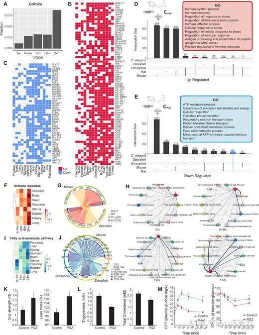 文献阅读| Construction of a cross-species cell landscape at single-cell ...