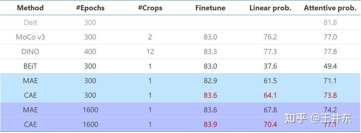 自监督表征预训练之掩码图像建模：CAE 及其与 MAE、BEiT 的联系 - 知乎