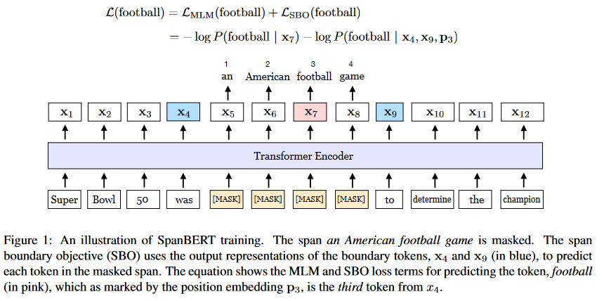 [预训练语言模型之spanbert]SpanBERT: Improving Pre-training by Representing and Predicting Spans - 知乎