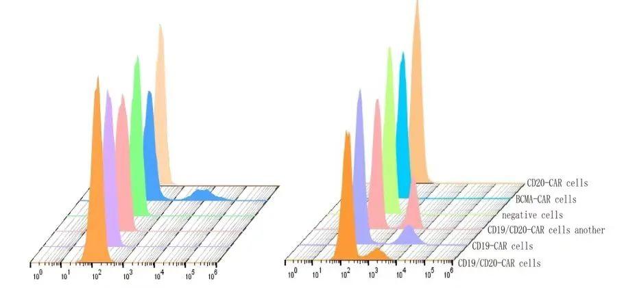好消息！CAR-T精准检测方法学领域又出新成果！ - 知乎