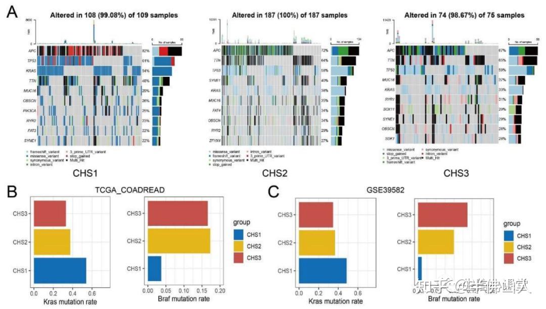最新1区9.2分SCI，铜死亡+乏氧+肿瘤分型+实验验证，肿瘤分型想发高分，可以借鉴这一篇！ - 知乎