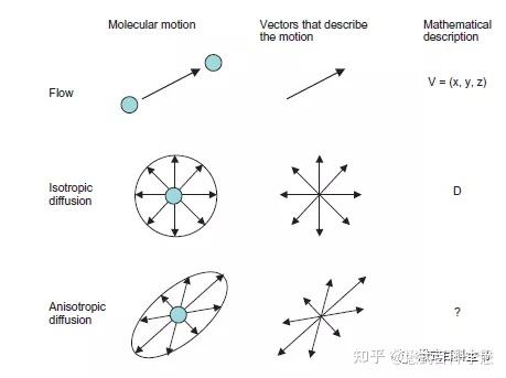 DTI技术原理及临床应用 - 知乎