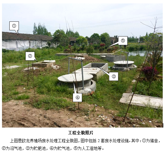 2019实用技术 | 畜禽养殖废水光生物反应生态处理技术 - 知乎