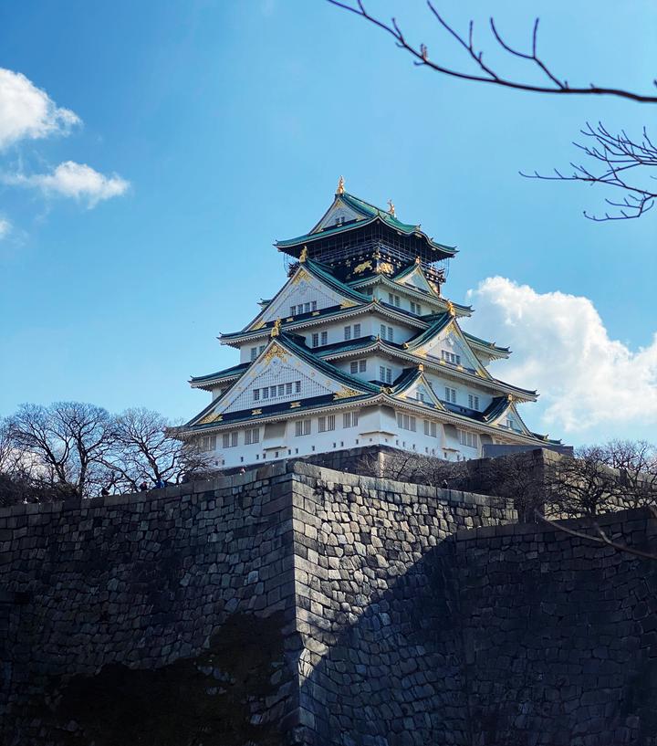 R语言中的stargazer包的使用方法 - 知乎