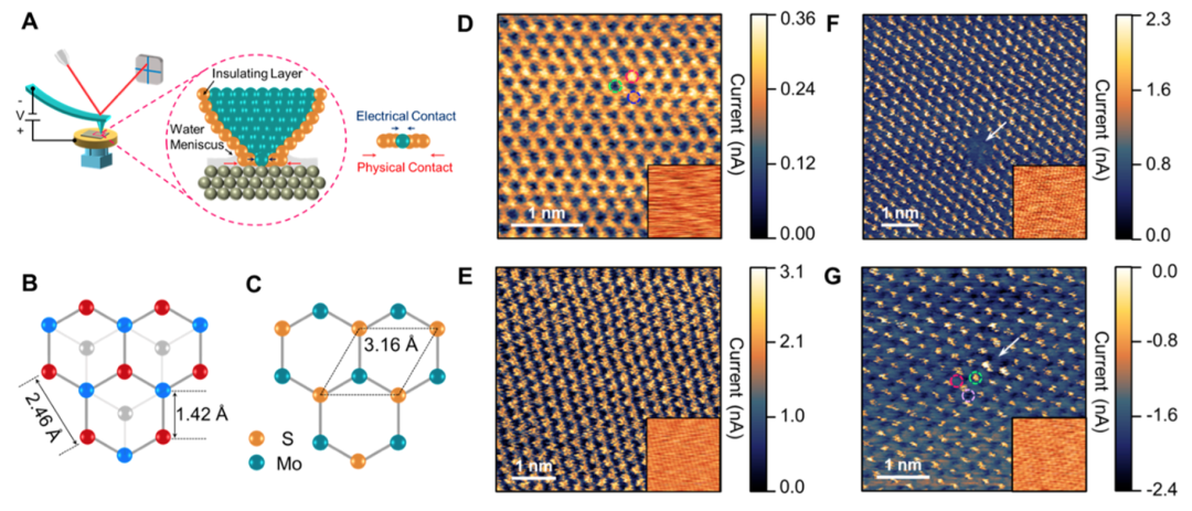 AFM在不同领域的应用 - 知乎