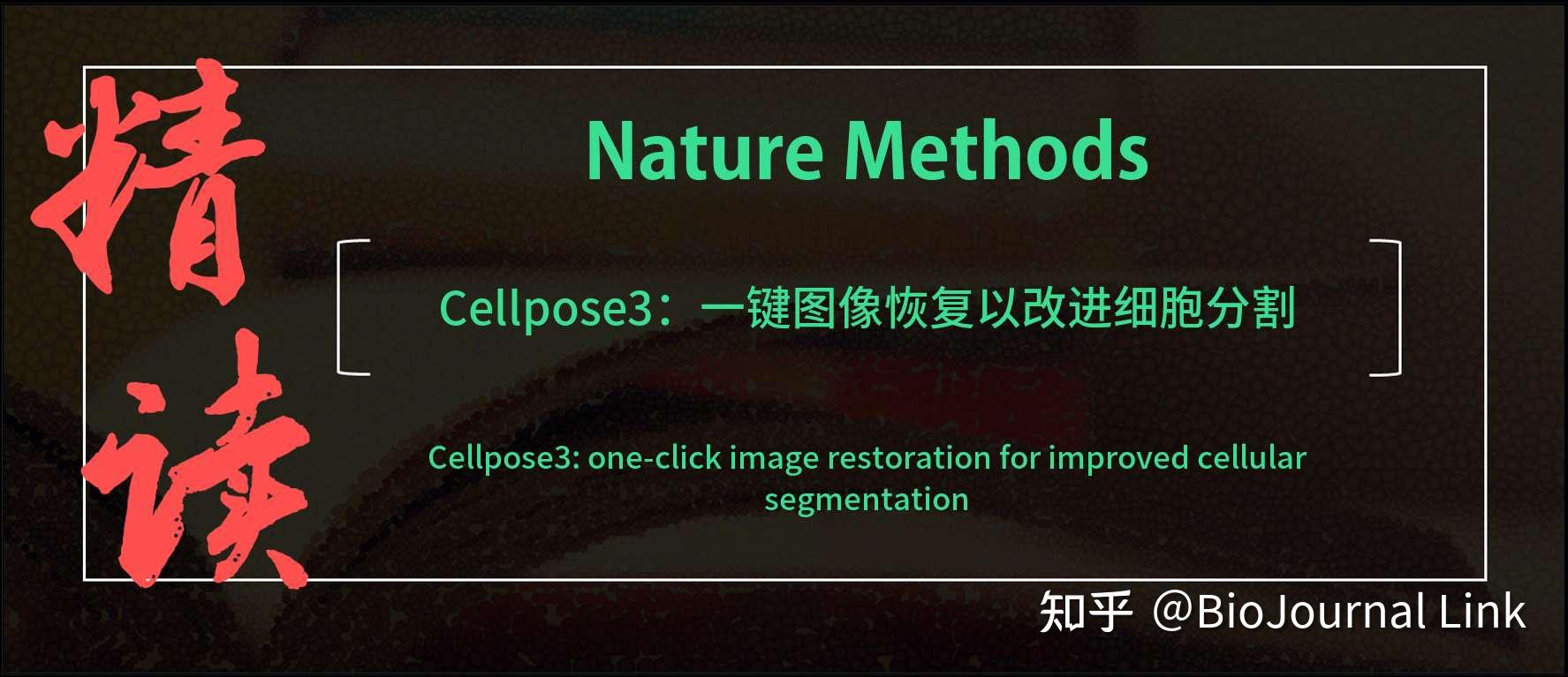生物技术 | Nat.Methods | Cellpose3：一键图像恢复以改进细胞分割 - 知乎