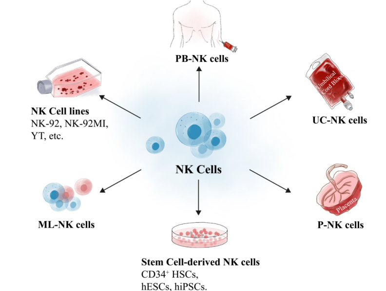 CAR-NK究竟是什么神器？ - 知乎