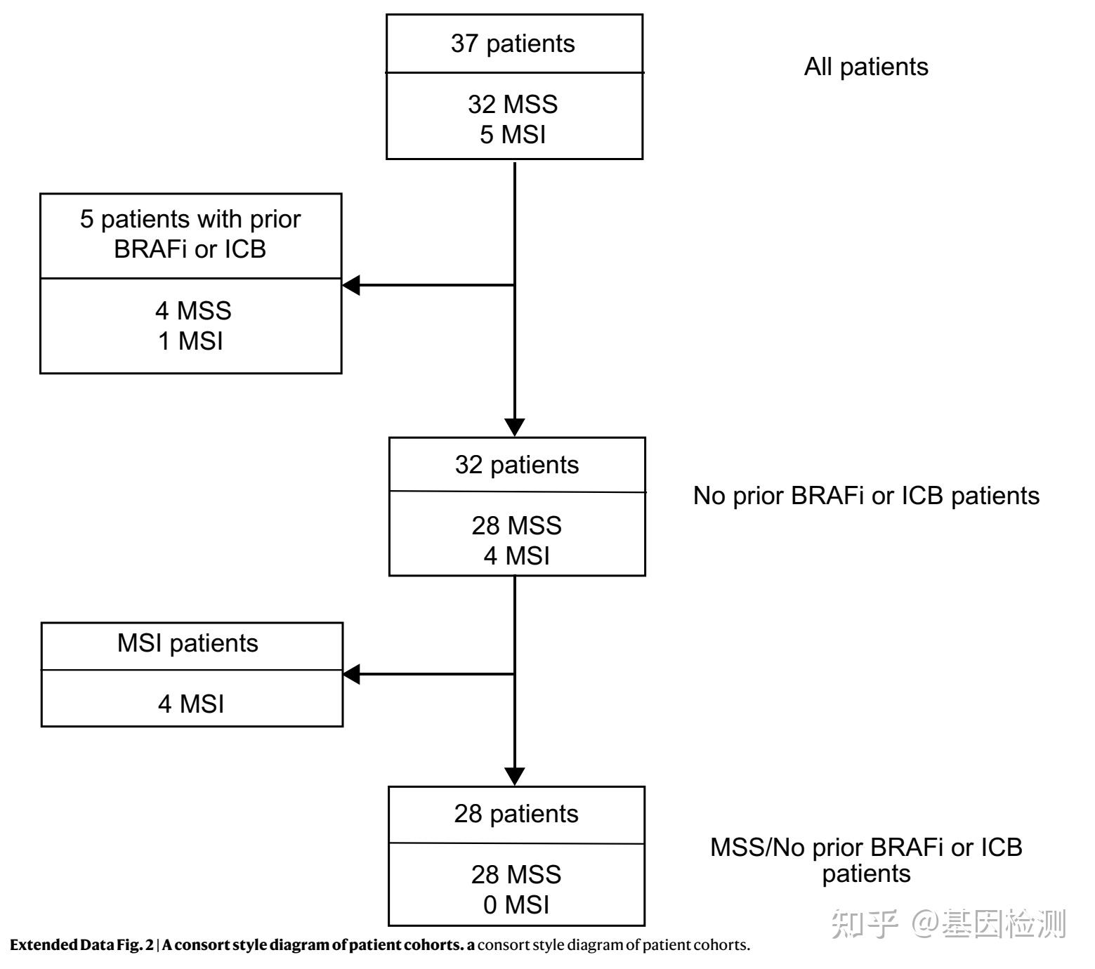 PD-1、BRAF和MEK联合抑制在BRAF V600E结直肠癌中的应用:2期试验 - 知乎