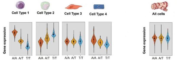 单细胞eQTL分析 | 启航单细胞多组学大数据时代 - 知乎