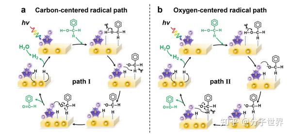 科研-文献-POM incorporated ZnIn2S4 Z-scheme photocatalyst for benzyl ...