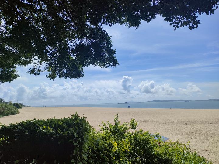 轻松搞定el-date-picker的picker-options设置示例 - 知乎