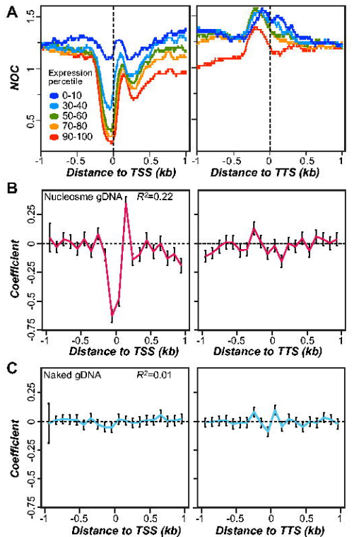解析表观遗传学的工具——ChIP-seq（二） - 知乎