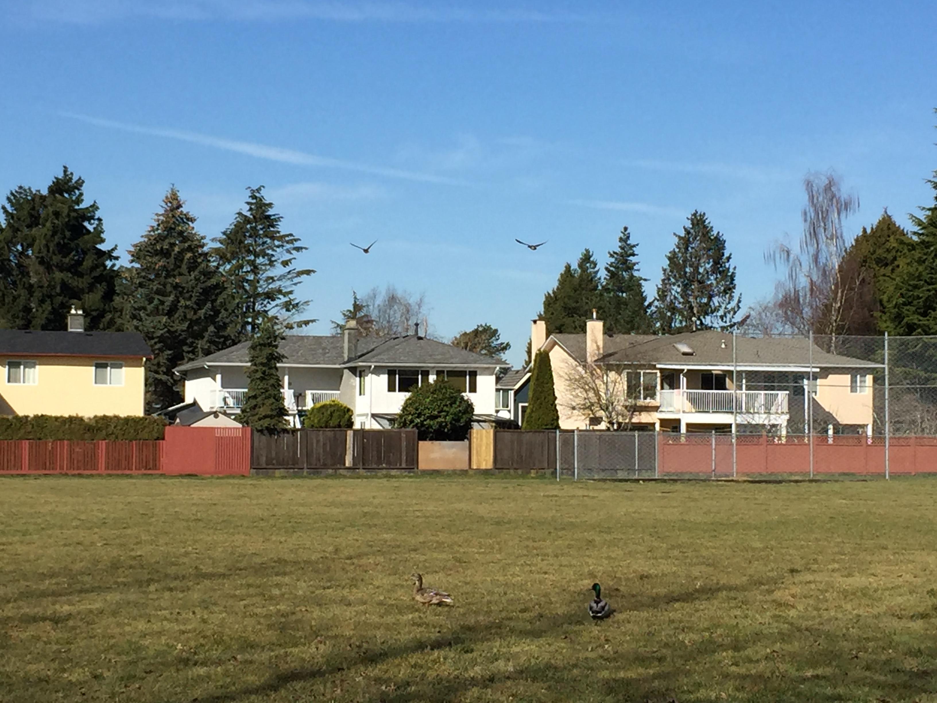 共情研究-丹尼尔•巴特森（Daniel Batson） - 知乎