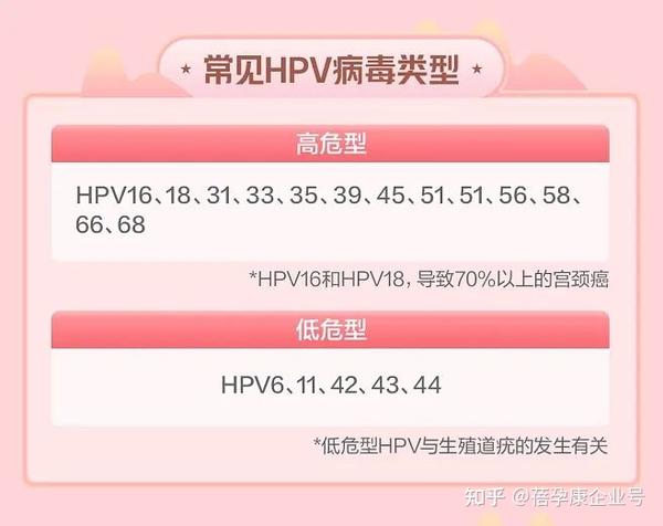 女性健康科普 | 一文了解HPV - 知乎