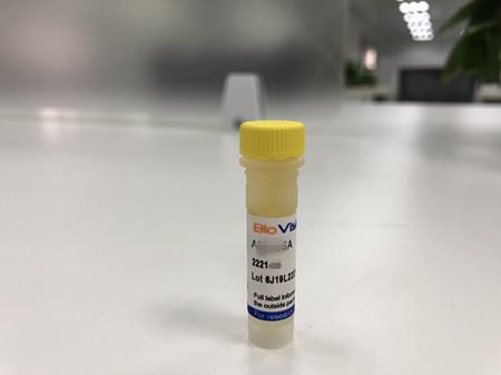 BSA Control for Age-BSA——提供BSA作为AGE-BSA的BSA对照品 - 知乎