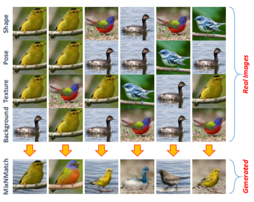 拆解组新的GAN：解耦表征MixNMatch - 知乎