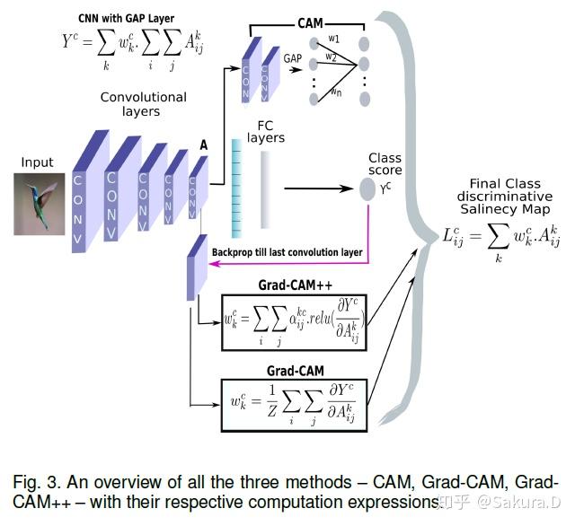 CNN可视化Grad-CAM - 知乎