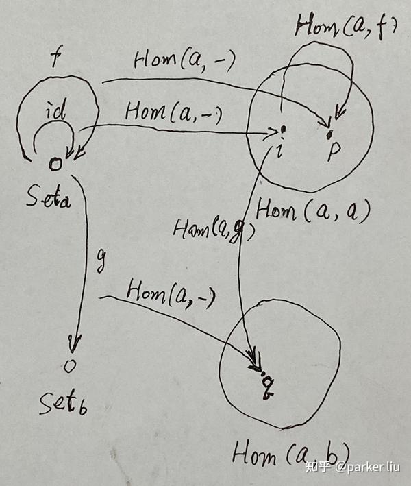 从态射角度来理解米田引理 - 知乎