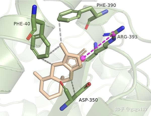 Pymol处理对接结果作图 - 知乎