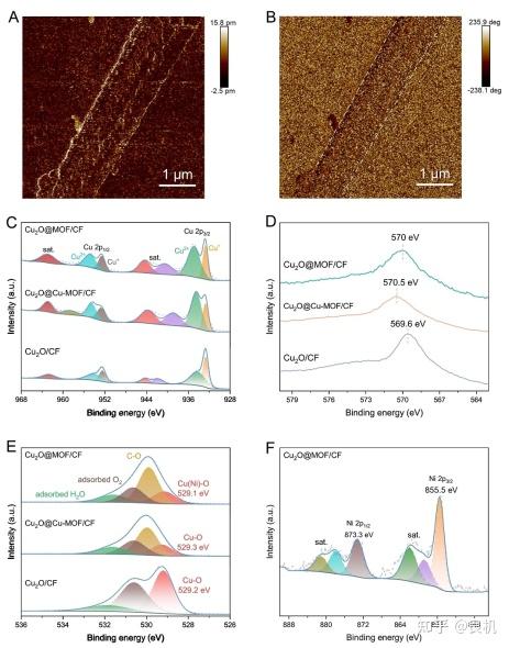 Angew II 自极化触发的多极单元以高选择性电化学方式将二氧化碳还原为乙醇 - 知乎