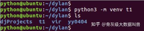 【虚拟环境】使用python3自带的venv构建虚拟环境 - 知乎