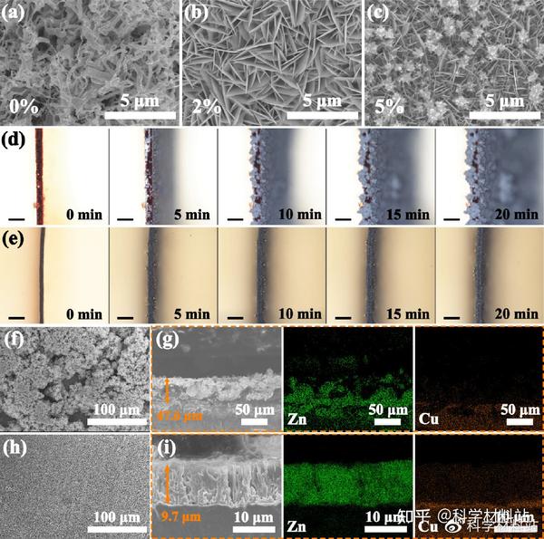 天津大学钟澄教授团队 CEJ：通过引导定向锌沉积和抑制[Zn(OH)4]2−扩散实现镍锌电池超长循环和日历寿命 - 知乎