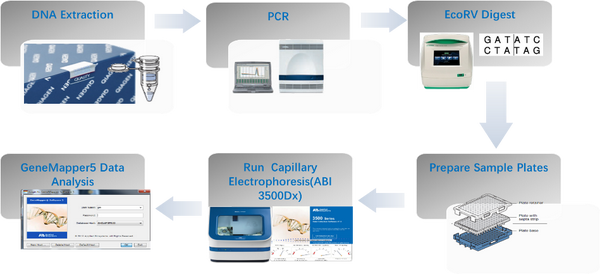 杰论系列 | FLT3基因突变与AML治疗 - 知乎