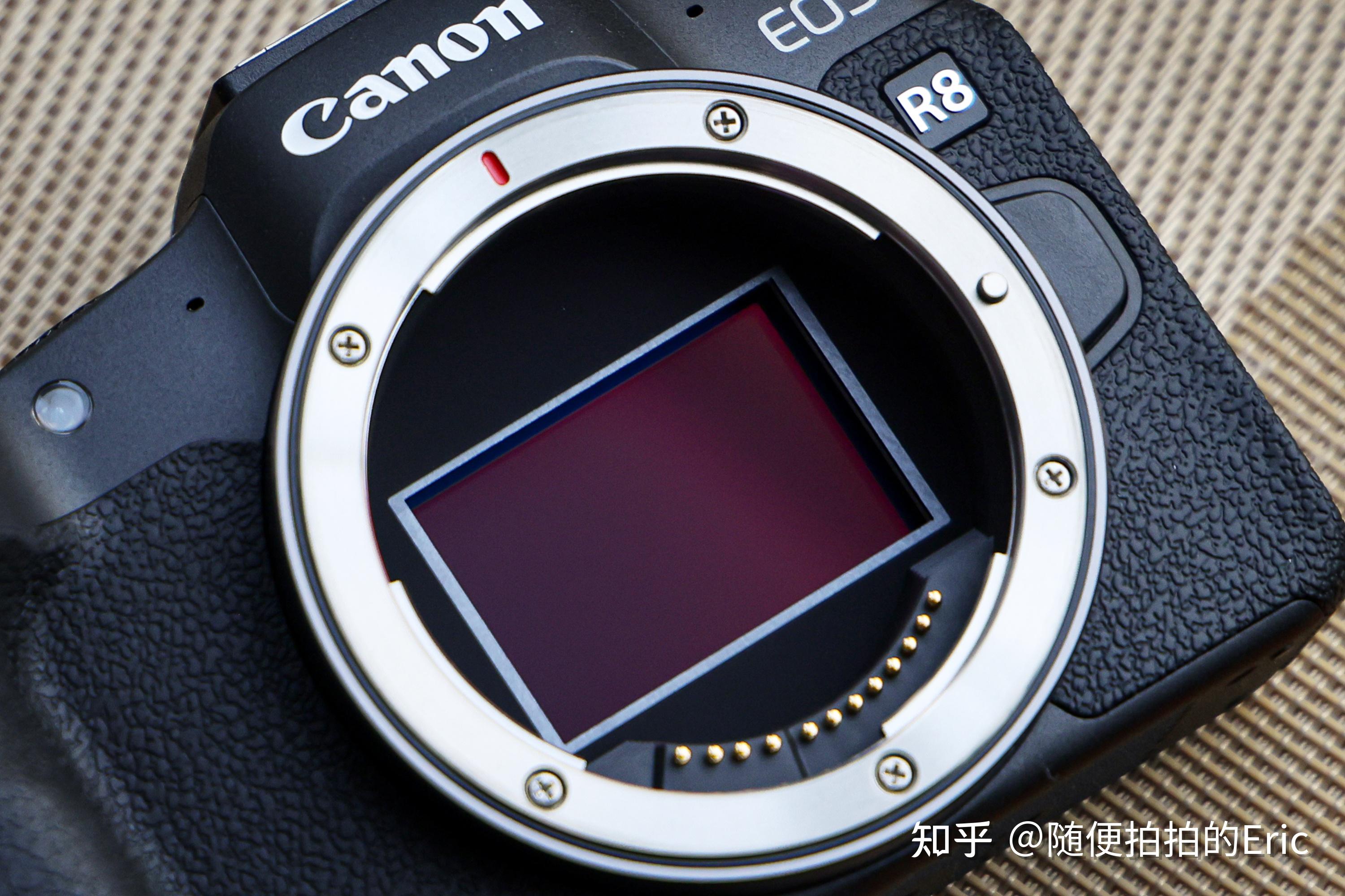 佳能EOS R8和EOS R50：只有巴掌大的全画幅微单你喜欢吗？