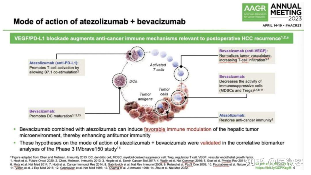 全球首个III期临床研究IMbrave050数据发表！（附下载） - 知乎