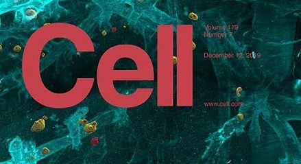 我国内地第一篇Cell论文发表后，25年后才迎来第二篇… - 知乎