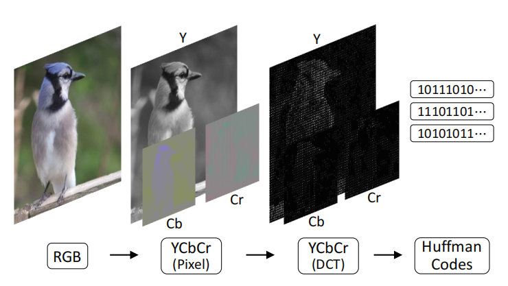 CVPR·2023·RGB no more: Minimally-decoded JPEG Vision Transformers - 知乎