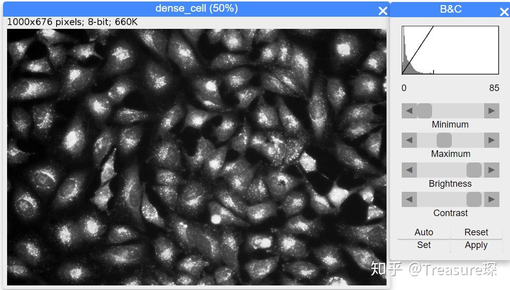 ImageJ实用教程——网页版ImageJ - 知乎