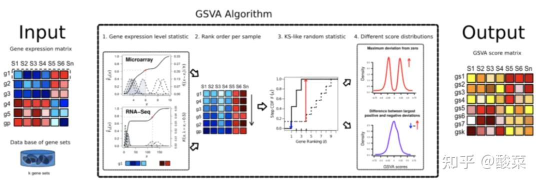 傻傻分不清！GSEA & GSVA有啥差别？史上最全教程来了！ - 知乎