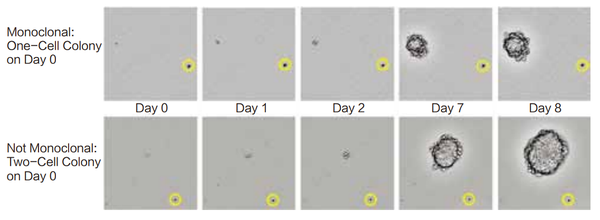 使用CloneSelect Imager系统在半固体培养基中进行单克隆验证 - 知乎