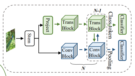 [VIT]Conformer: Local Features Coupling Global Representations,双分支混合结构（CONV+Transformer） - 知乎