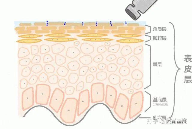 医美级护肤黑科技——索漾高密度可溶性纳米微晶贴膜 知乎