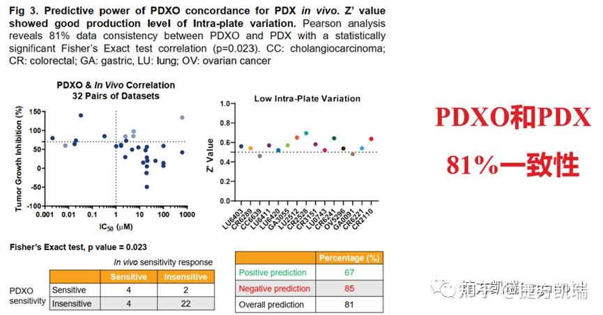 文献解读|药物研发验证模型-PDXO模型 - 知乎