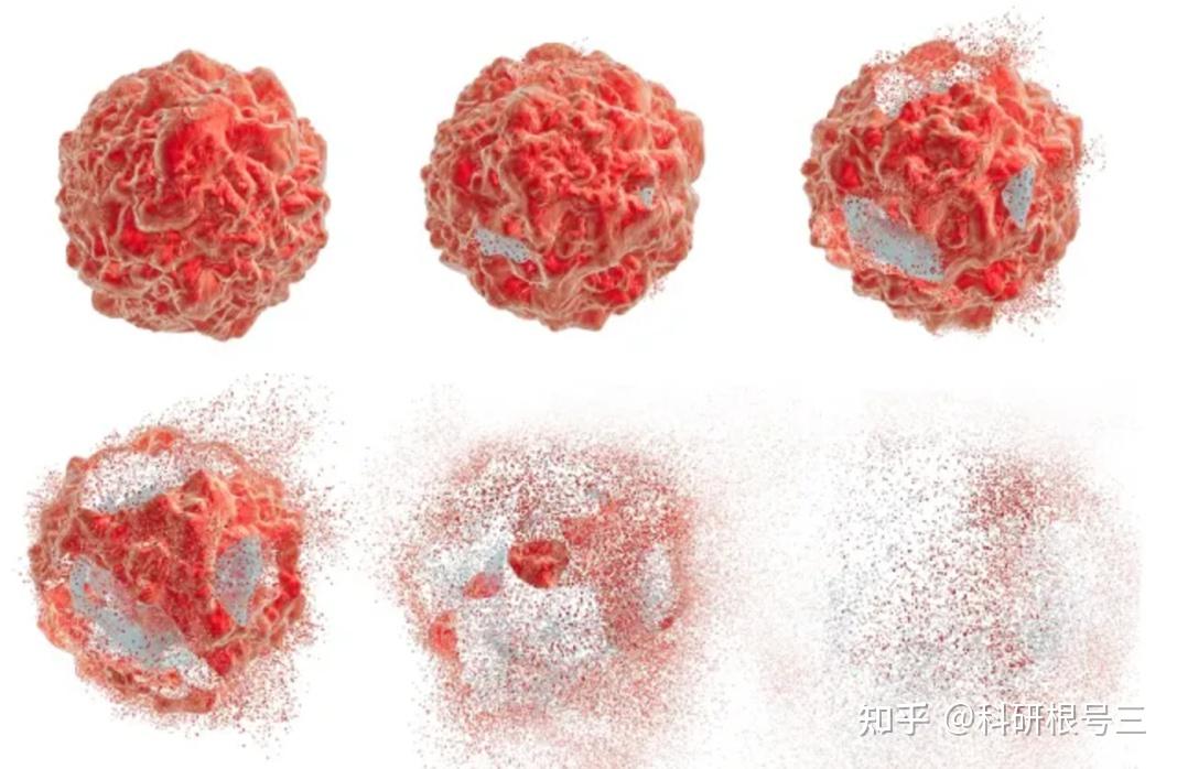 细胞焦亡是什么，如何检测？ - 知乎