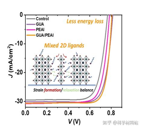 德国Christoph J. Brabec教授最新AFM：二维配体对窄带隙Pb/Sn钙钛矿薄膜晶体应力和器件能量损失的影响 - 知乎