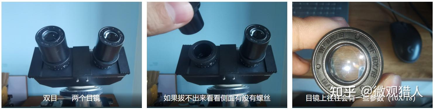 显微基础丨④目镜、观察头以及摄影 - 知乎