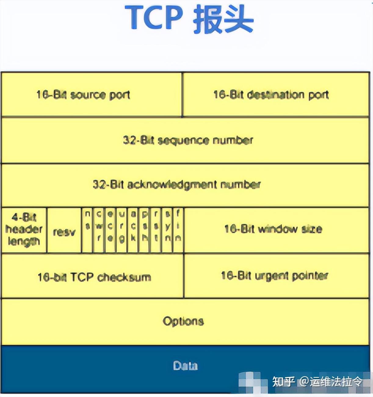 OSI七层模型 - 知乎