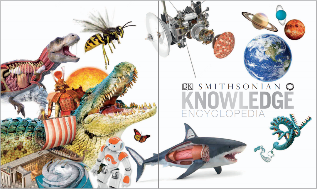 8本《DK百科全书》高清电子版本~包含恐龙、科学、海洋、太空、人体、动物、历史七大主题 - 知乎