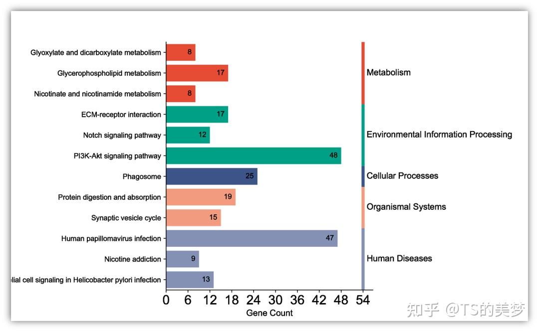KEGG注释：KEGG富集可视化柱状图 - 知乎