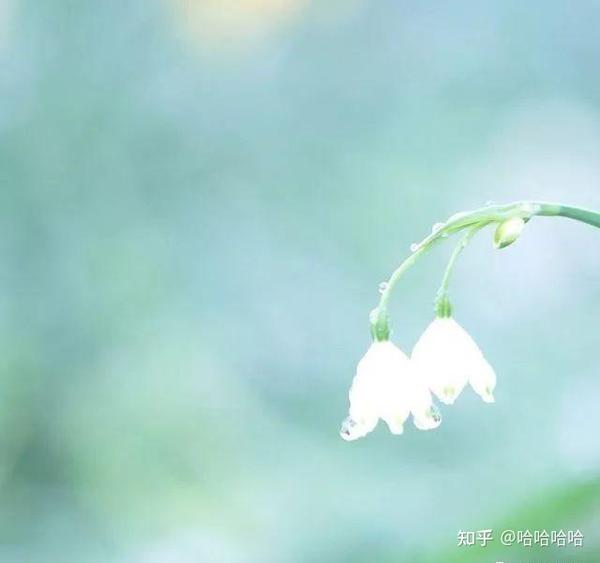 纵然我有千百万般好，你也不会看到。 知乎